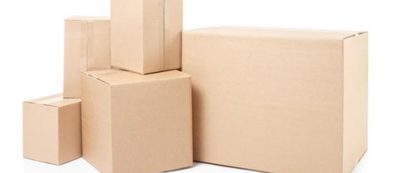 Apartment Renting 101 - The Ultimate Guide for Renting