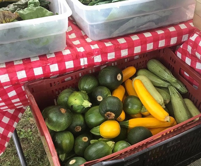 Farmers market near me